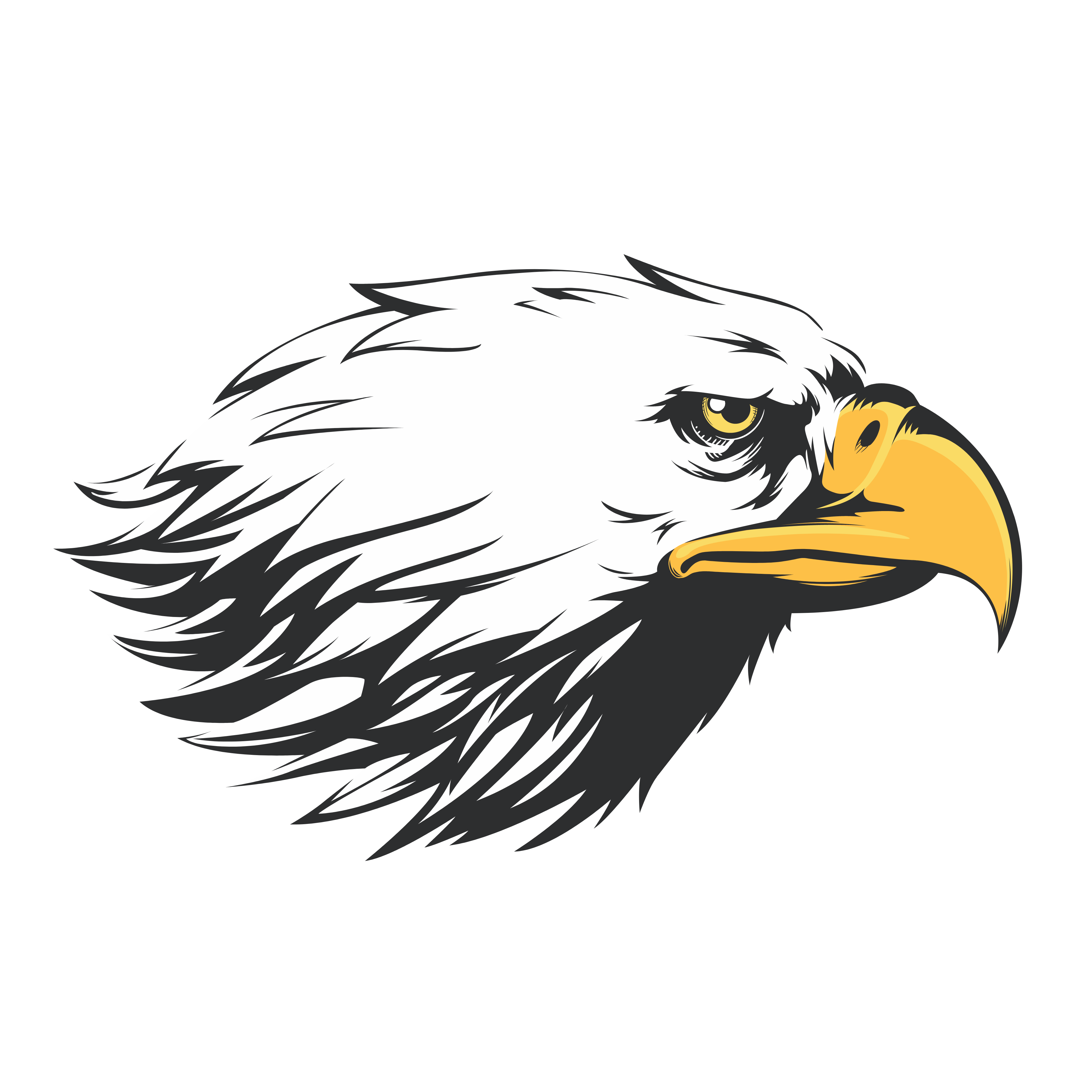 Home - Captain Hawk Security